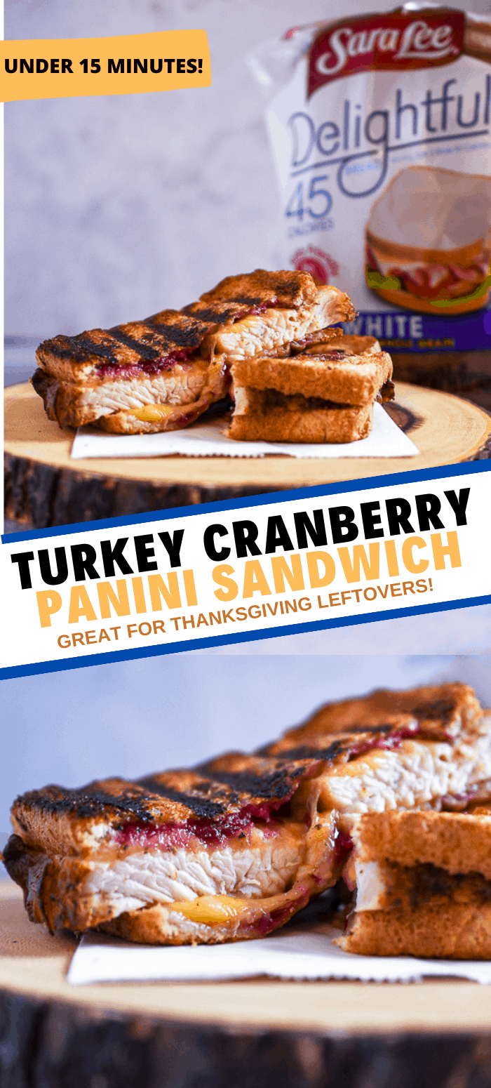 Turkey Cranberry Panini Sandwich – Domestic Dee